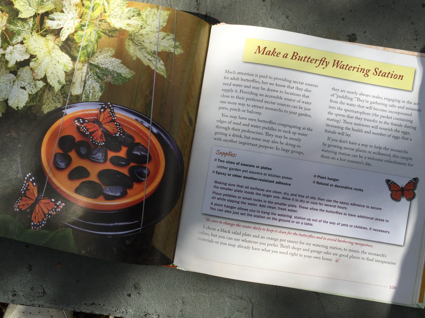 The Monarch: Saving Our Most-Loved Butterfly – Books Can Save A Life