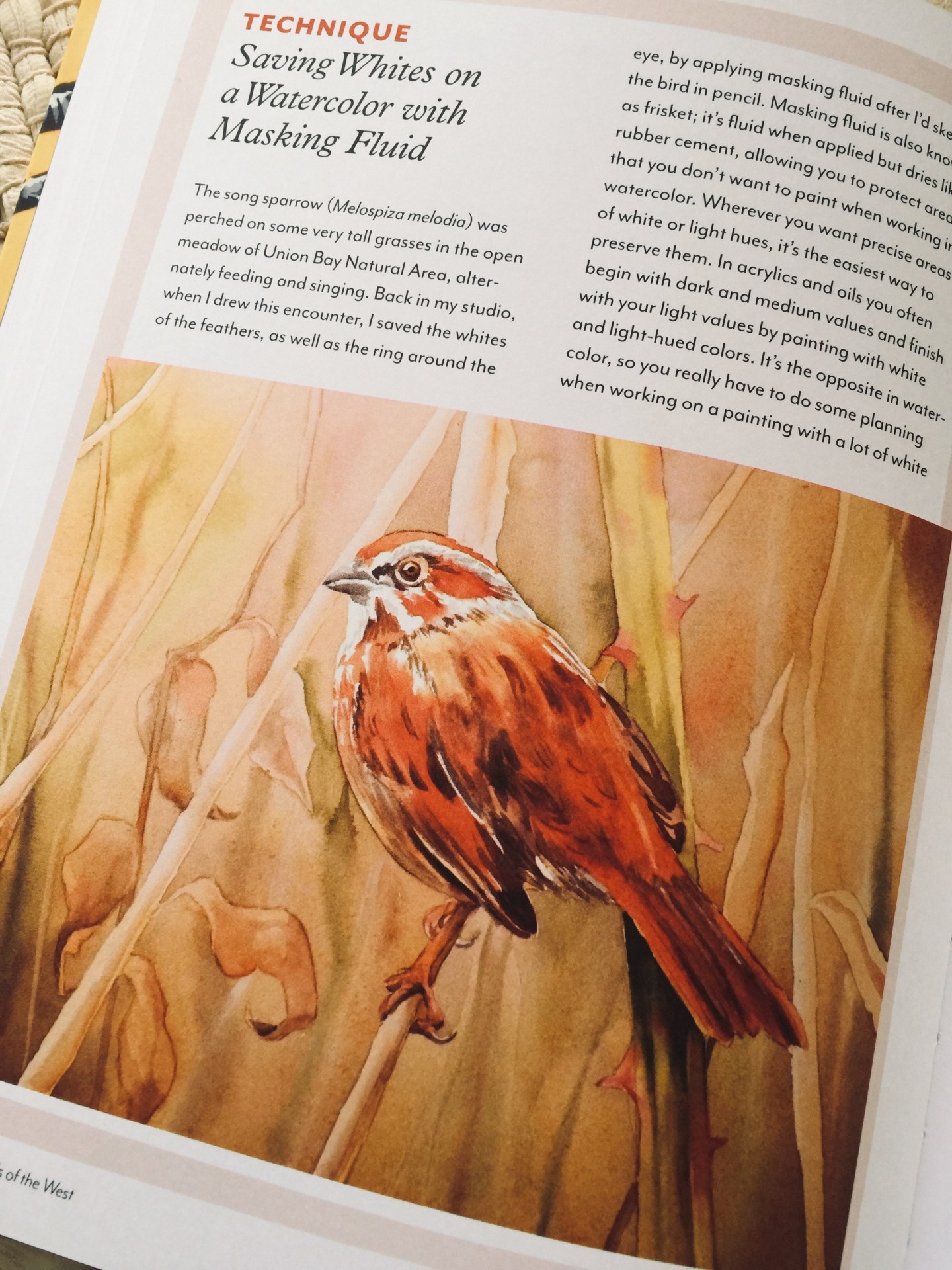 Birds of the West by Molly Hashimoto – Books Can Save A Life